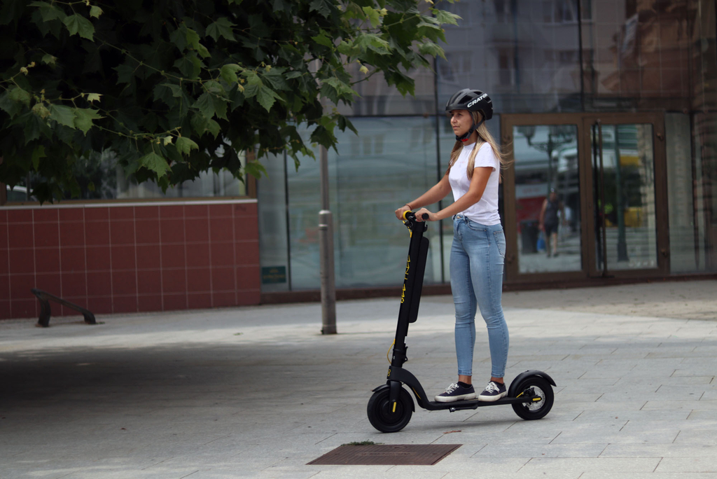 Elektrická koloběžka BEE FREE Scooter 1